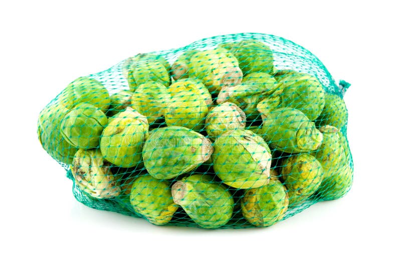 Brussels-sprouts In Green Net Stock Photo - Image of sprouts, uncooked ...