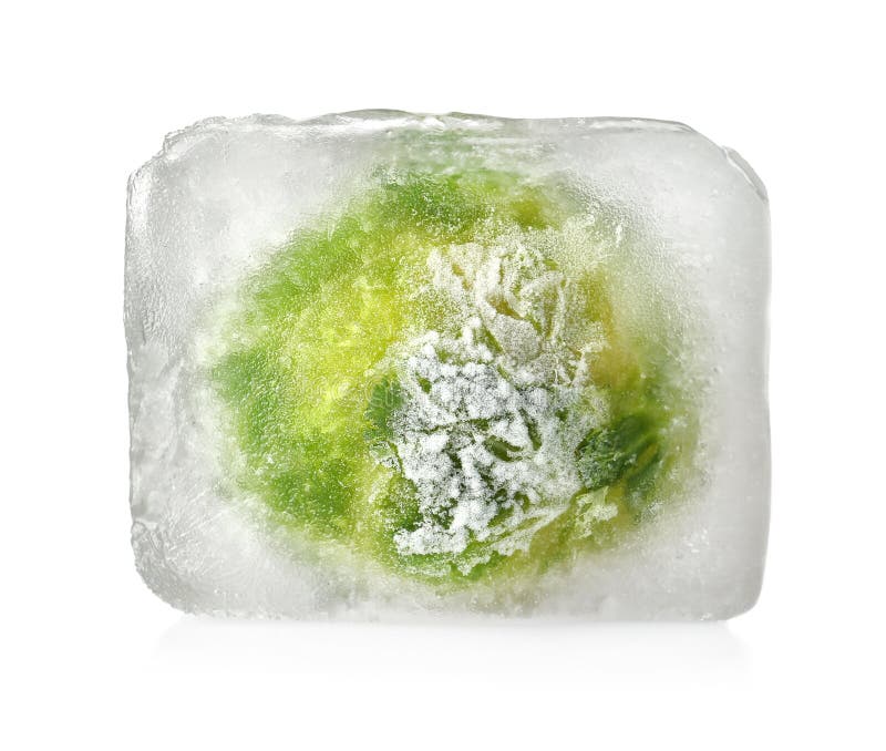Brussels Sprouts in Ice Cube on White Background. Stock Photo - Image ...