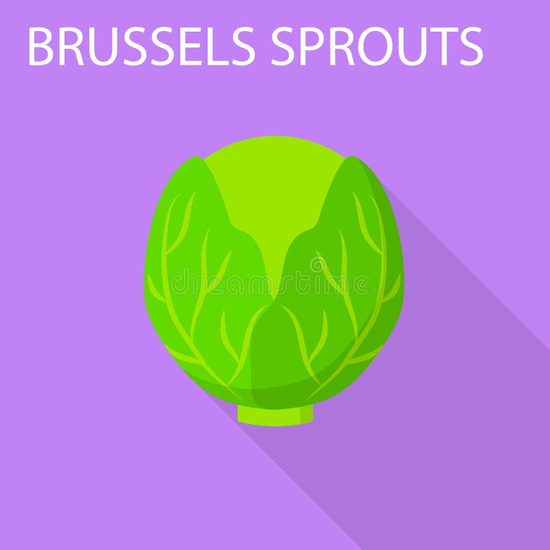Brussels Sprouts Icon, Flat Style Stock Vector - Illustration of brussels, health: 115867022