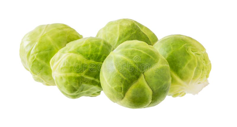 Brussels Sprouts Isolated on White Background Stock Image - Image of ...