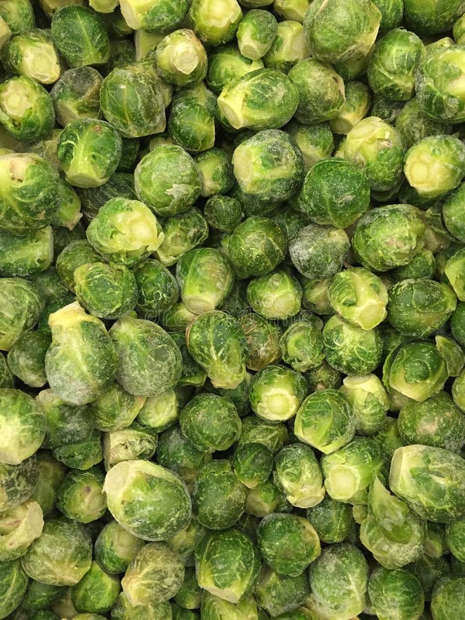Brussels Sprouts Mini Cabbages Stock Photo - Image of fast, eating ...