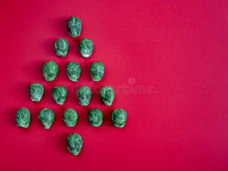 Christmas Tree Shaped Brussels Stock Photos - Free & Royalty-Free Stock ...