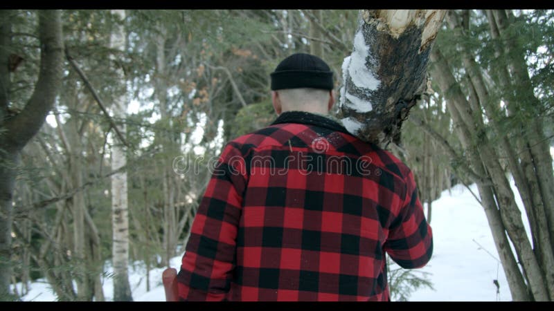Brutal Lumberjack Walks through the Winter Forest Stock Image - Image ...