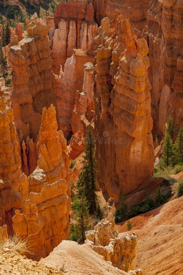 Bry valley stock image. Image of orange, looking, parks - 77211403