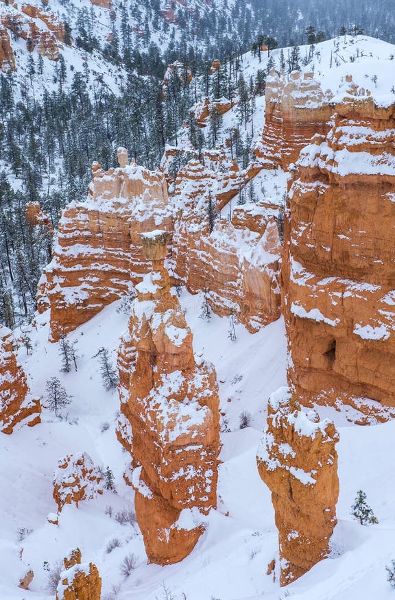 Bryce Canyon stock photo. Image of natural, bryce, wild - 29414284