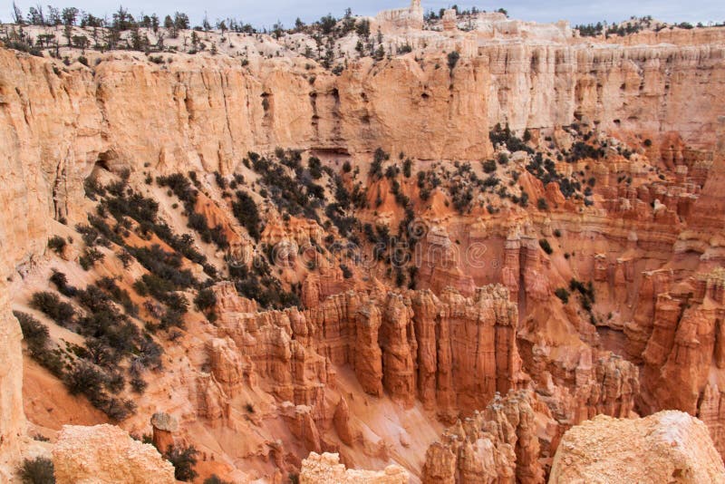 Bryce Canyon stock photo. Image of ideas, bryce, plant - 37612866