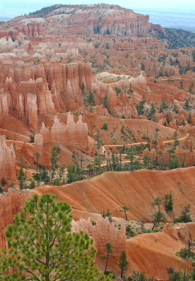 Bryce Canyon Ampitheatre 13 Stock Image - Image of striation, cliff ...