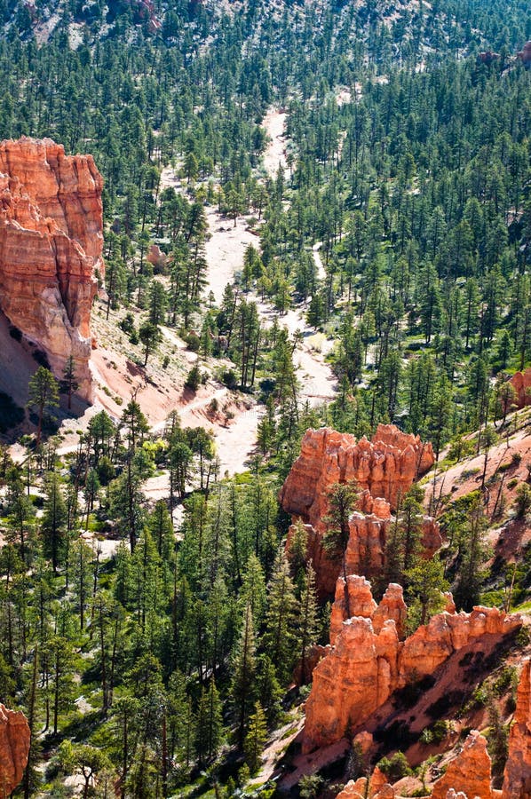 Bryce Canyon stock image. Image of america, canyon, forest - 83289113