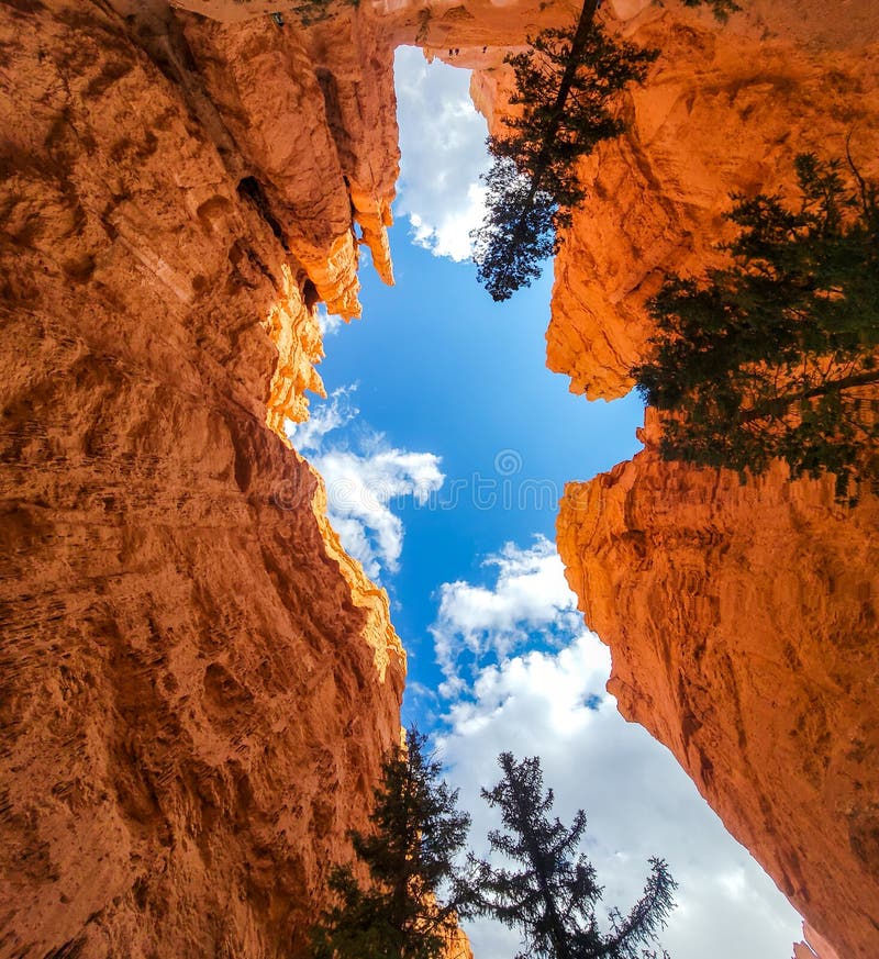 Bryce Canyon National Park Peekaboo Loop Trail Stock Photo - Image of ...