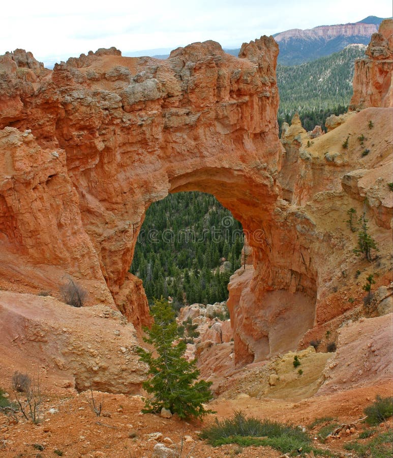 Bryce Canyon Natural Bridge 4 Stock Photo - Image of canyon, geography ...