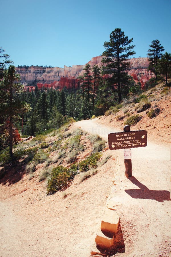 Bryce Canyon Navajo Loop stock photo. Image of nature - 100229876