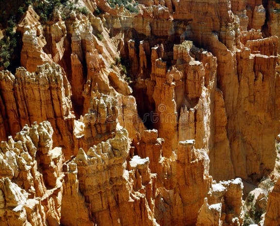 Bryce Canyon stock photo. Image of trees, bryce, forest - 44839536