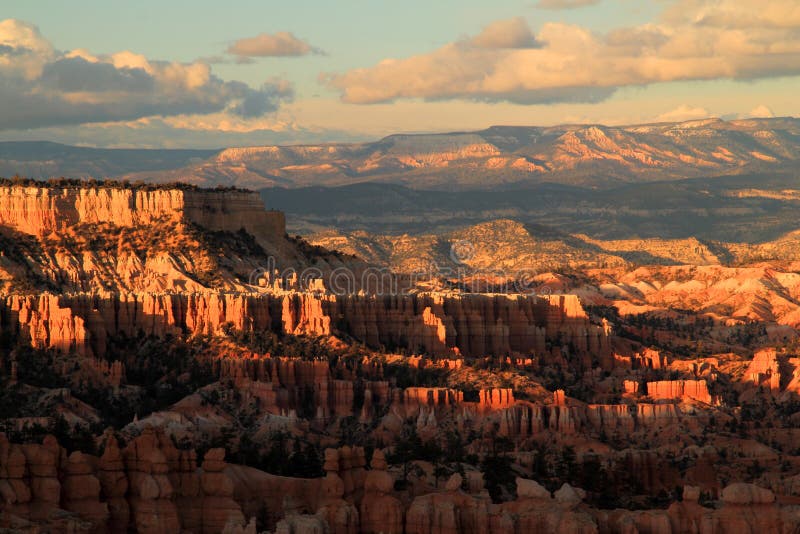 Sunet in the park stock image. Image of park, forest - 77768311