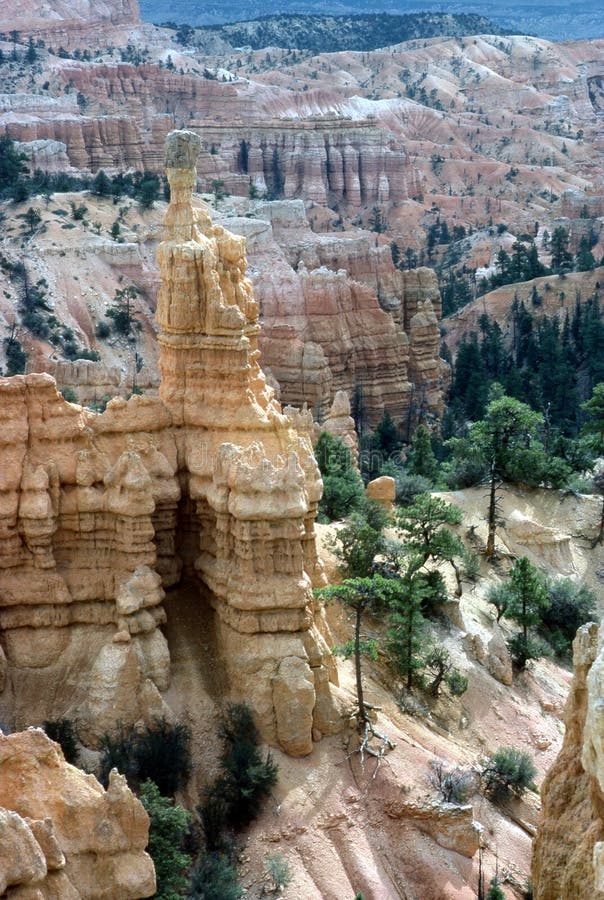Bryce Canyon stock photo. Image of erosion, forest, flora - 33090282