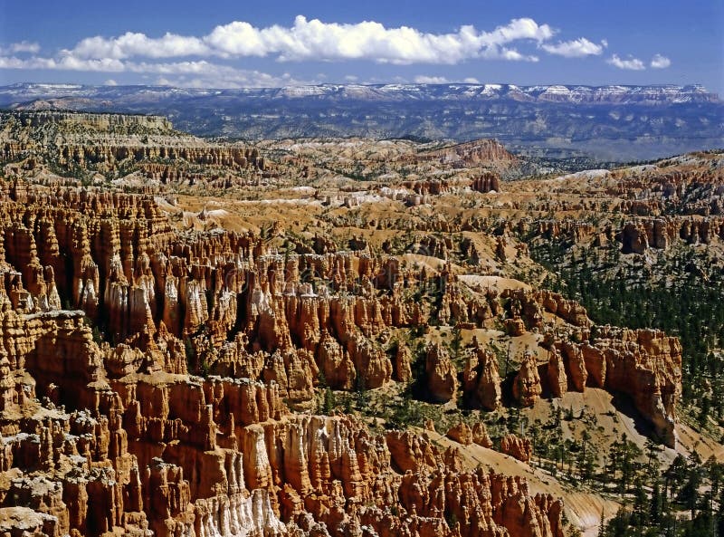 Bryce Canyon stock photo. Image of plants, spires, limestone - 44839794