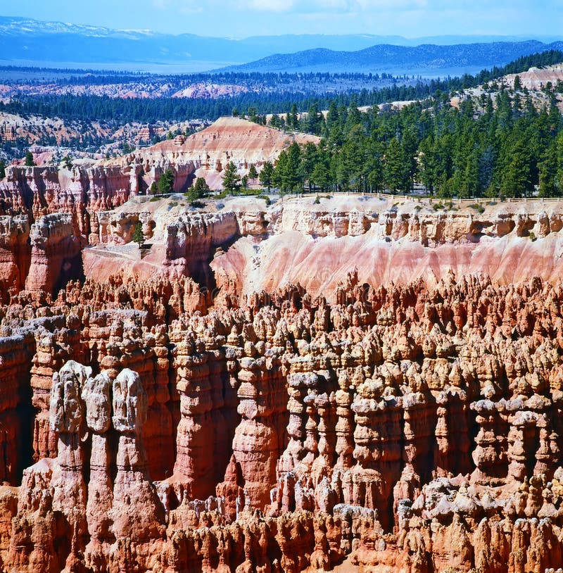 Bryce Canyon stock image. Image of trees, forest, limestone - 66129381