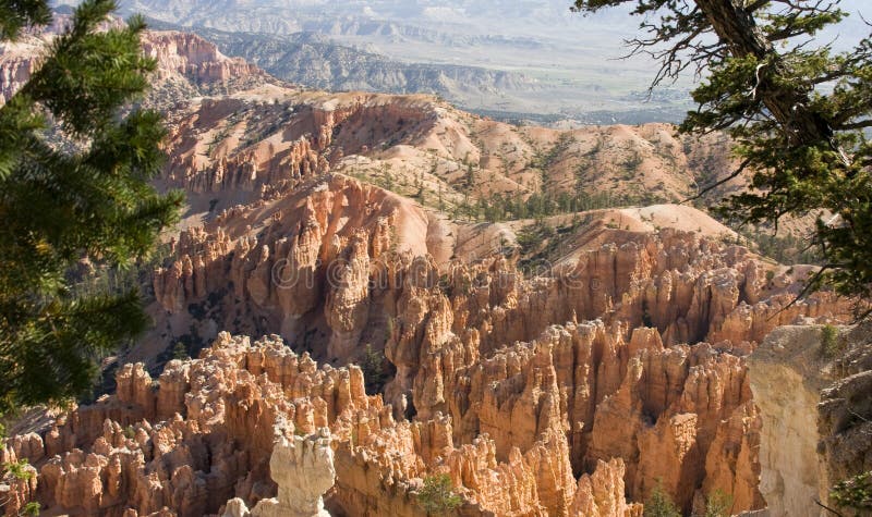 Bryce Conyon National Park stock image. Image of bryce - 64052315