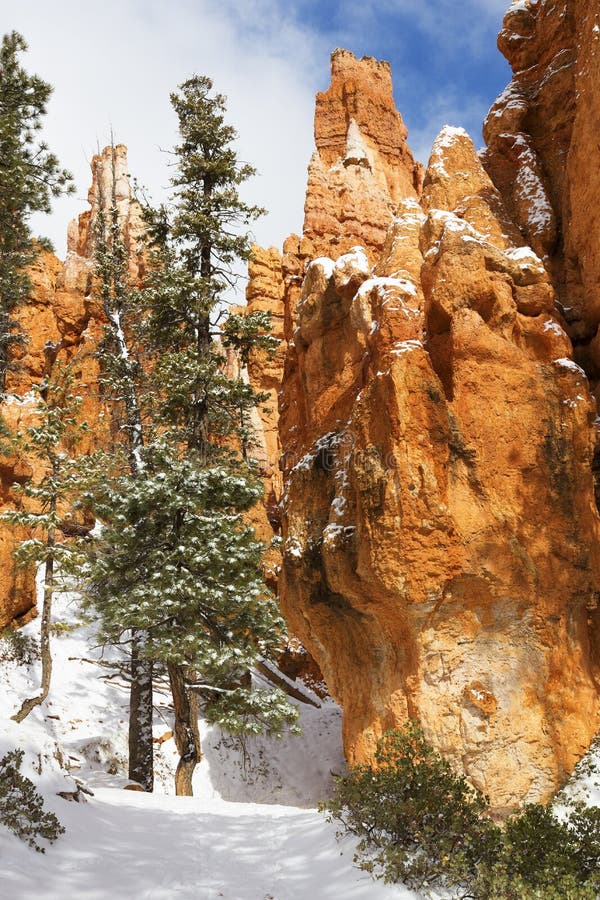 Bryce National Park, Utah stock image. Image of beauty - 90004895