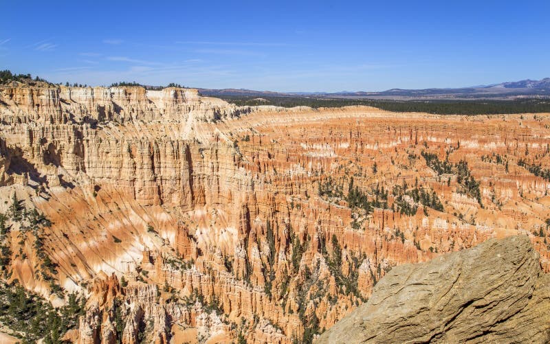 Bryce Point stock photo. Image of panorama, canyon, pines - 63086852