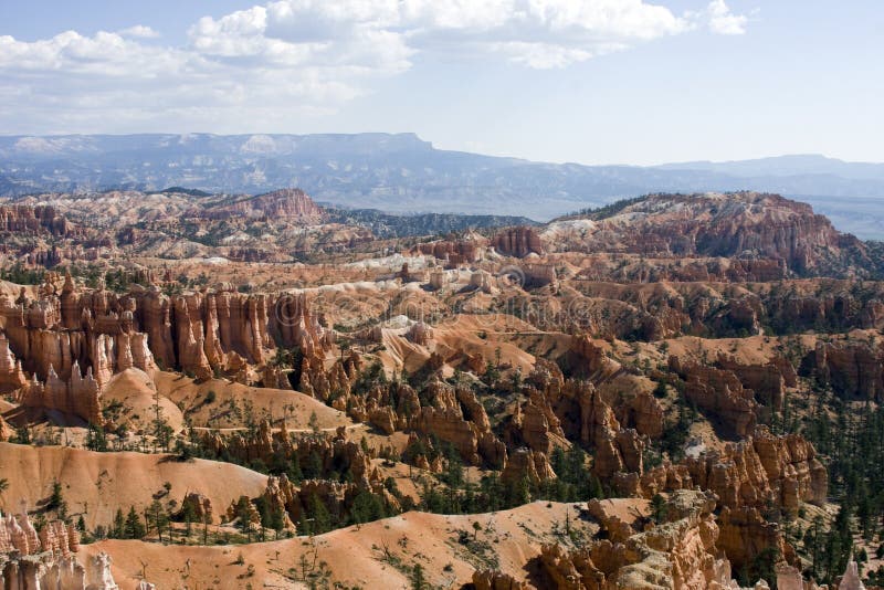 Bryce point utah stock photo. Image of pines, forest - 29772578