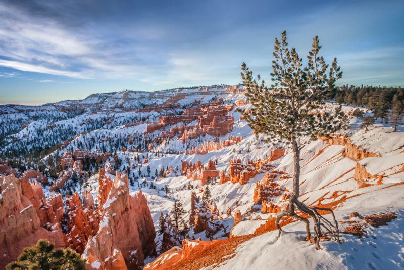 Bryce Winter Rise stock photo. Image of winter, desert - 47881058