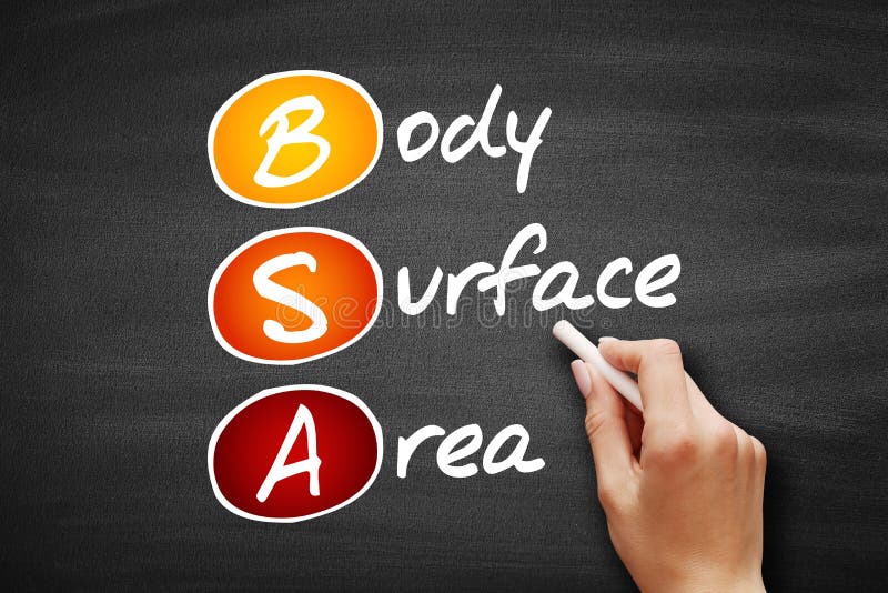 Bsa Body Surface Area Acronym Concept on Blackboard Fotografering för ...