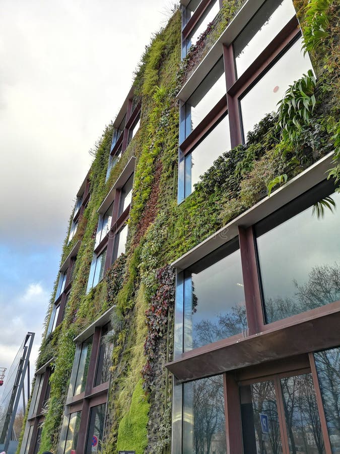 France stock image. Image of france, nature, paris, architecture ...