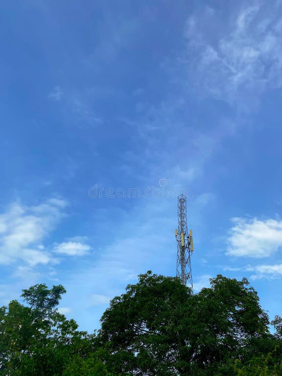 The Bts or Telecommunications Tower is in the Middle of the Trees with ...