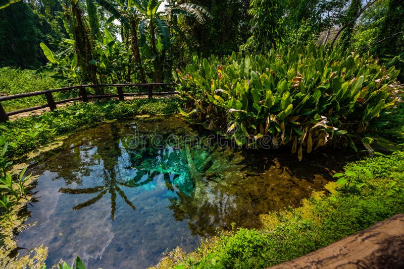 Bua Tong Spring, Nam Phu Chet Si, Thailand Stock Image - Image of creek ...