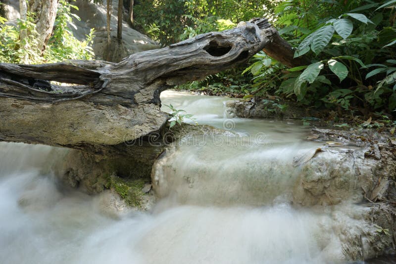 Bua Tong waterfall stock image. Image of thailand, sticky - 140204979