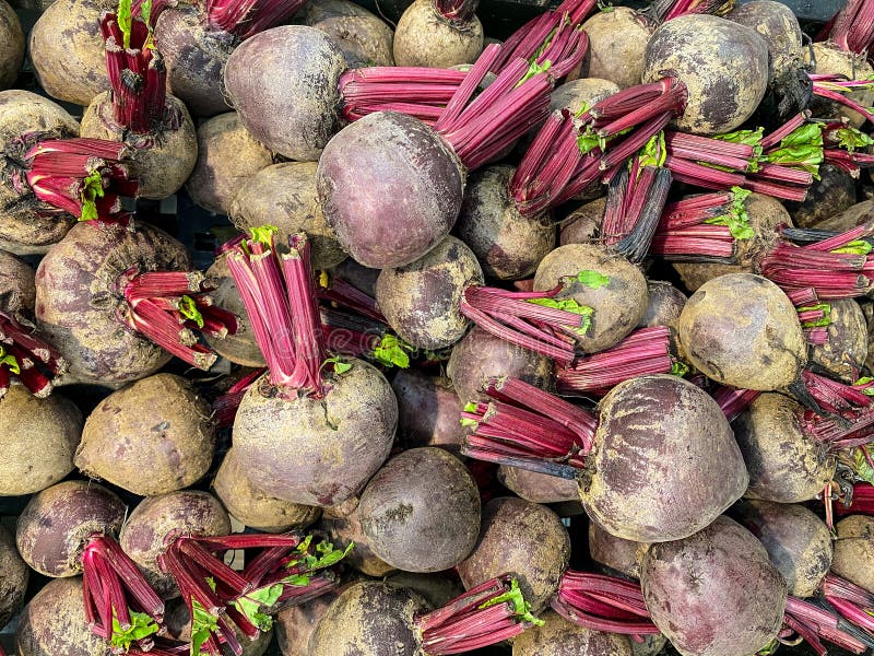 Beetroot, Buah Bit (Beta Vulgaris) is a Root Vegetable Also Known As ...