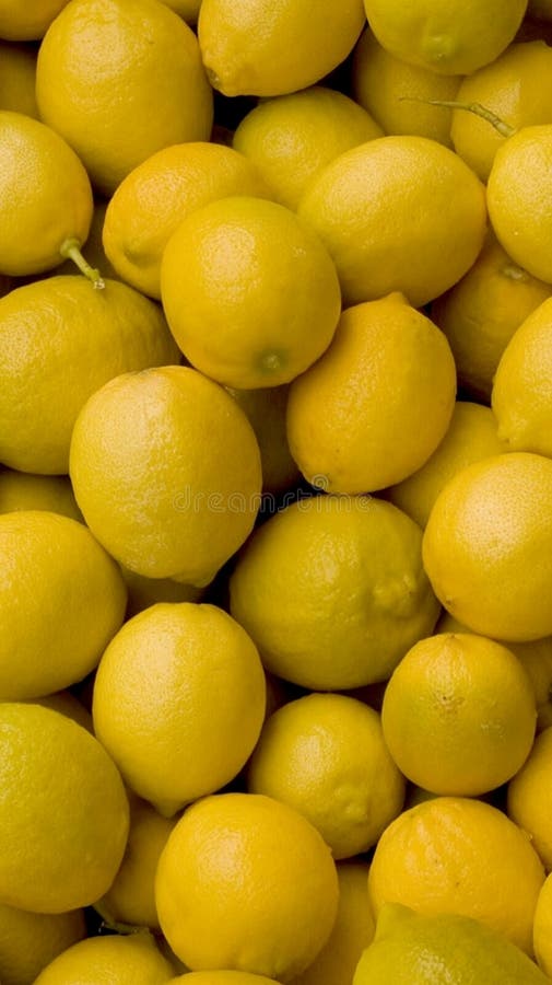 Buah lemon segar stock image. Image of food, berry, strawberry - 209142903
