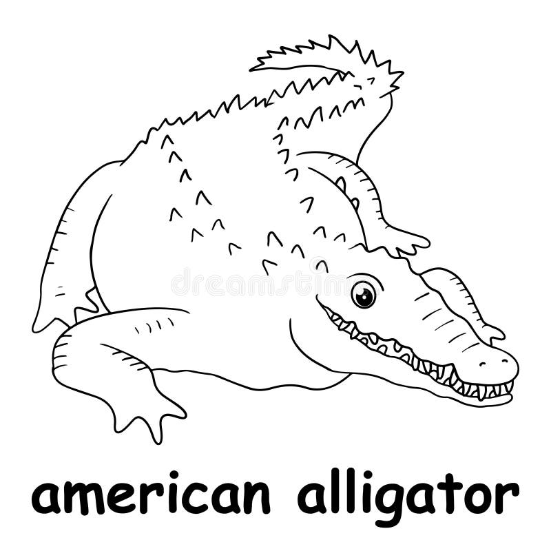 Kids Line Illustration Coloring American Alligator. Outline Vector for ...