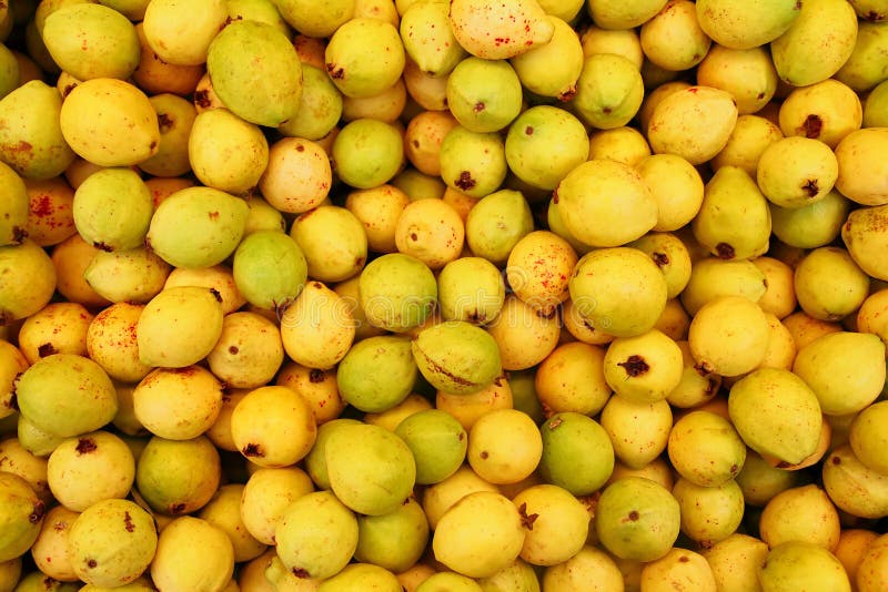Buayaba O Guayabilla Fruit Guajava Stock Photo - Image of exotic ...