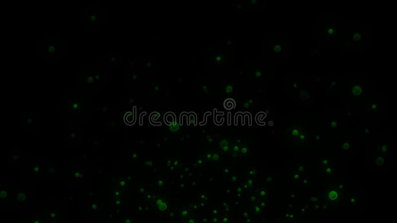 Bubble Animation. Rising Bubble. Loop Animation Stock Video - Video of ...