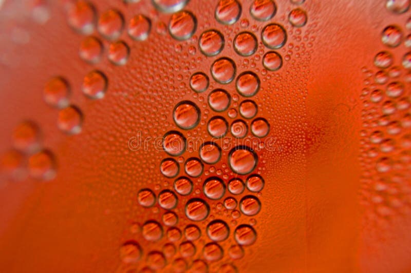 Bubble Backdrop Picture. Image: 823901