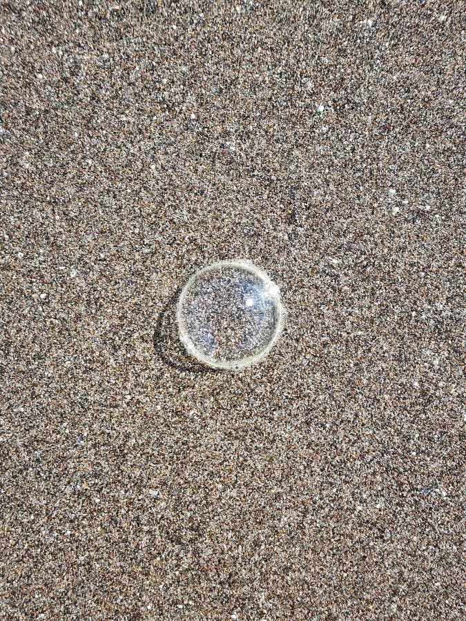 Bubble on the Beach Sand in Seaside Oregon Stock Image - Image of ...