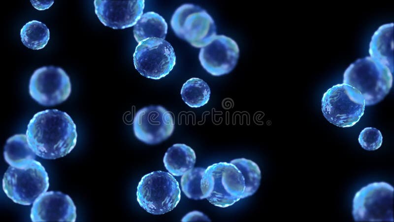 Bubble Bokeh Particle Loop Animation Stock Footage - Video of closeup, flow: 248699156