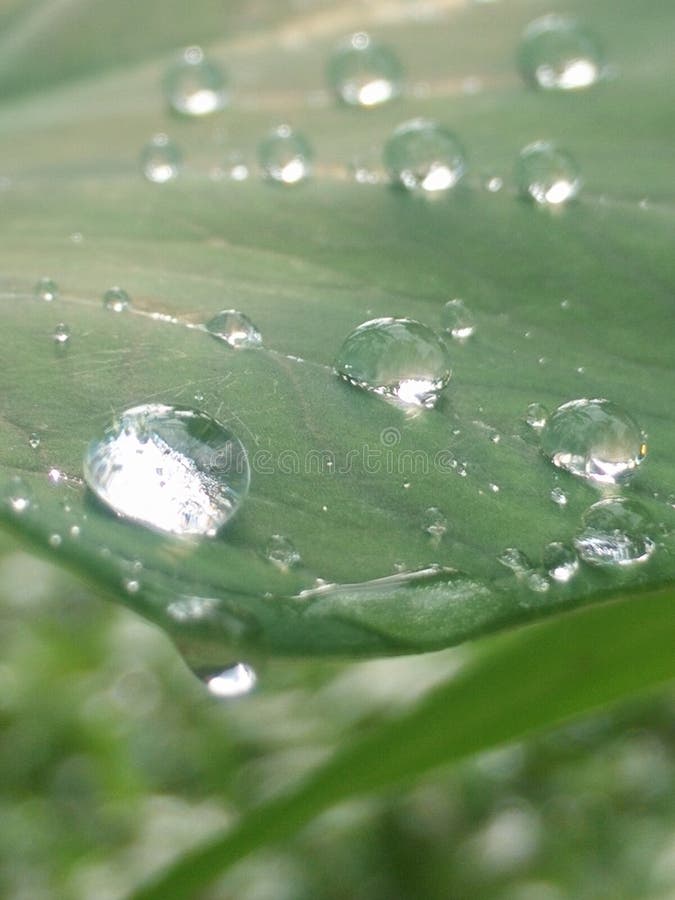 Bubble Dew falls stock image. Image of weather, falls - 241384865