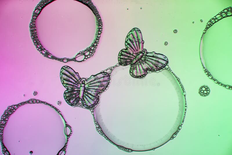 Bubble, Bubble, Diffuse Gradient, Color Contrast, Butterfly, Pattern ...