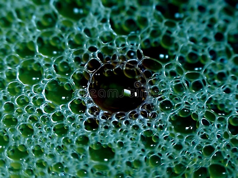 Bubble Drop Picture. Image: 1642137