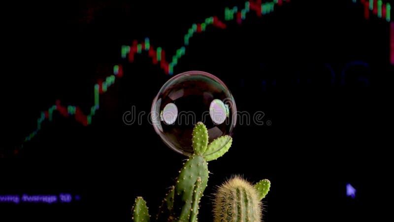 Bubble Exploding in Cactus. Inflation, Crisis, Stock Market and Other ...