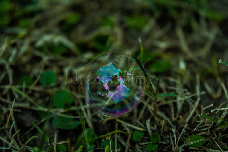 Bubble In Grass Picture. Image: 84935209