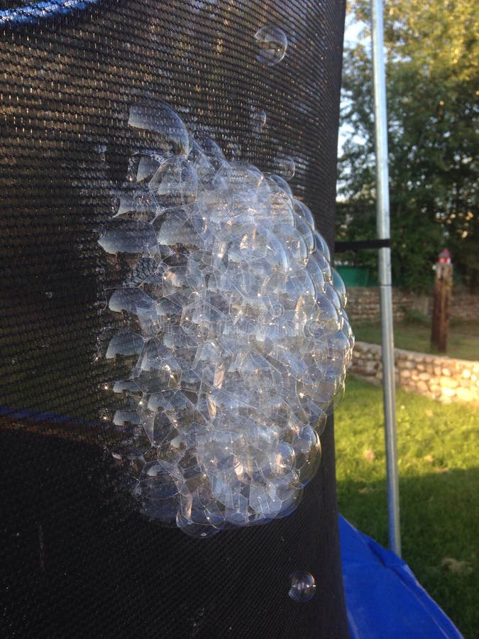 Bubble hive stock photo. Image of bubbles, bubble, thick - 76256242