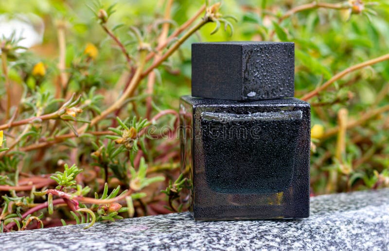 A Bubble of Perfume. City Style. Perfume Diffuser Stock Photo - Image ...