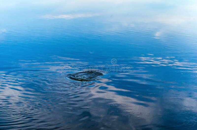 Bubble on the Water. Underwater Volcano Stock Image - Image of blue ...