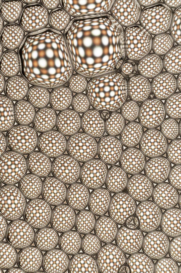 Unic Shape Stock Photos - Free & Royalty-Free Stock Photos from Dreamstime