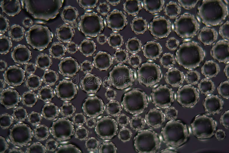 Air Bubbles in Ice Under the Microscope Stock Photo - Image of crystals ...