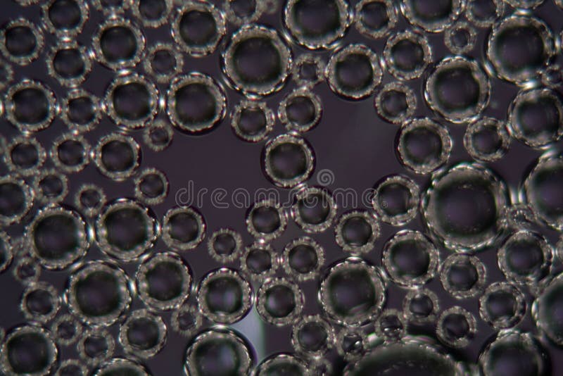 Air Bubbles in Ice Under the Microscope Stock Image - Image of texture ...
