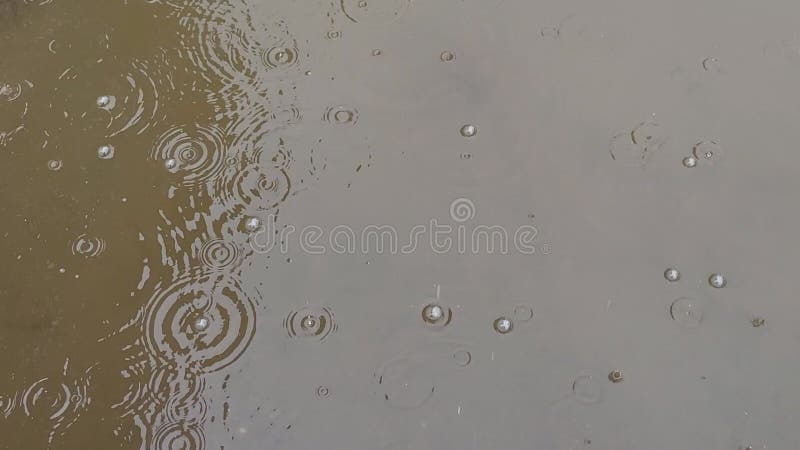Bubbles Burst in a Gray Muddy Puddle from Falling Raindrops. Stock ...